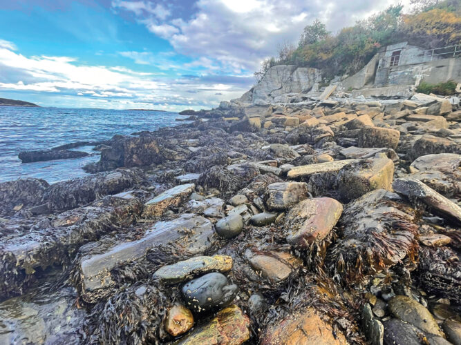 Out In Nature Photos - Grit